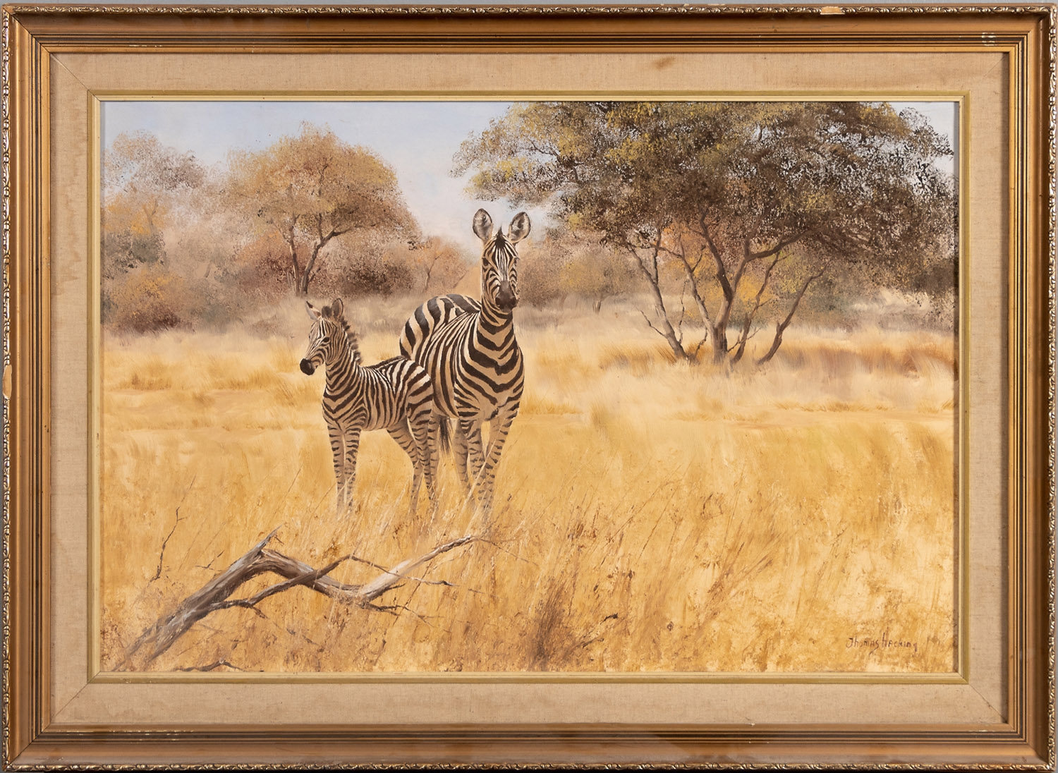 Thomas Hacking | zebras | MutualArt