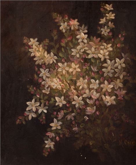 May Creeth | WESTERN AUSTRALIAN WILDFLOWERS | MutualArt