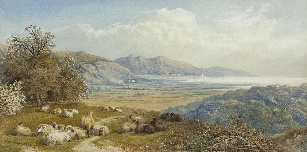 Cornelius Pearson | Sheep grazing on a headland with estuary beyond ...