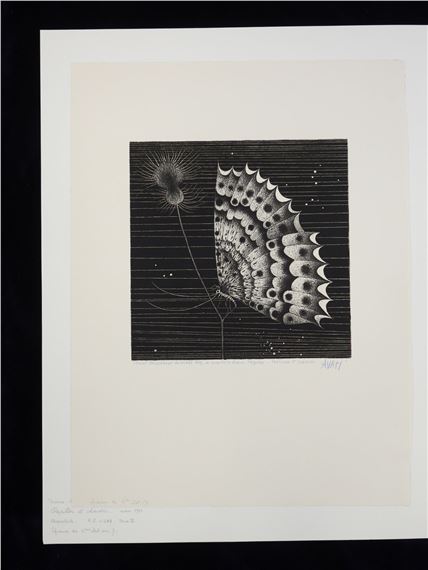 Mario Avati | Butterfly and thistle (1961) | MutualArt