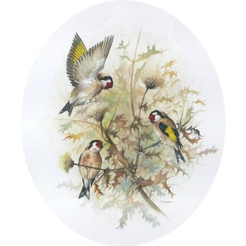 John Caesar Smith | Study of three goldfinches amidst branches | MutualArt