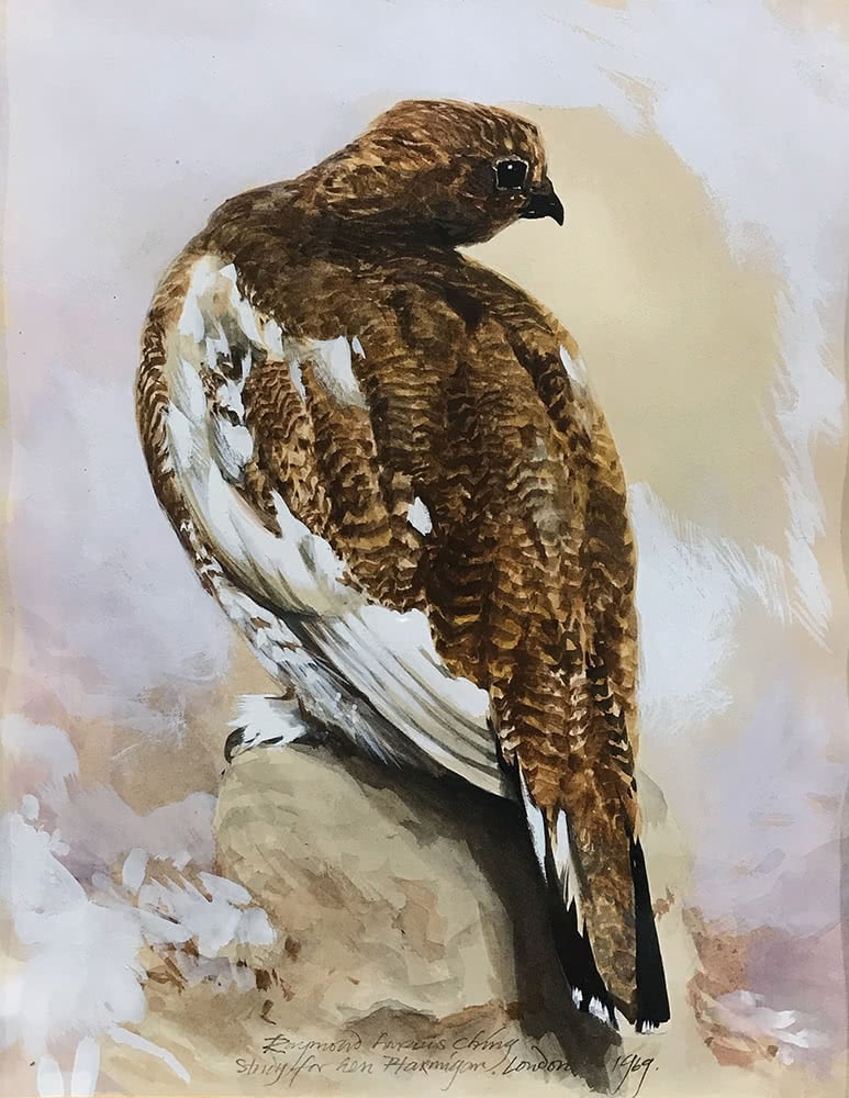 Raymond Harris Ching | Study for Hen Ptarmigan (1969) | MutualArt