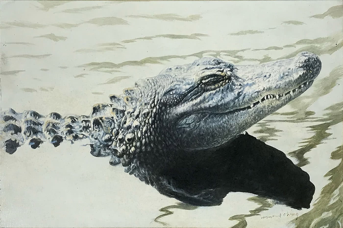 Raymond Harris Ching | Crocodile | MutualArt
