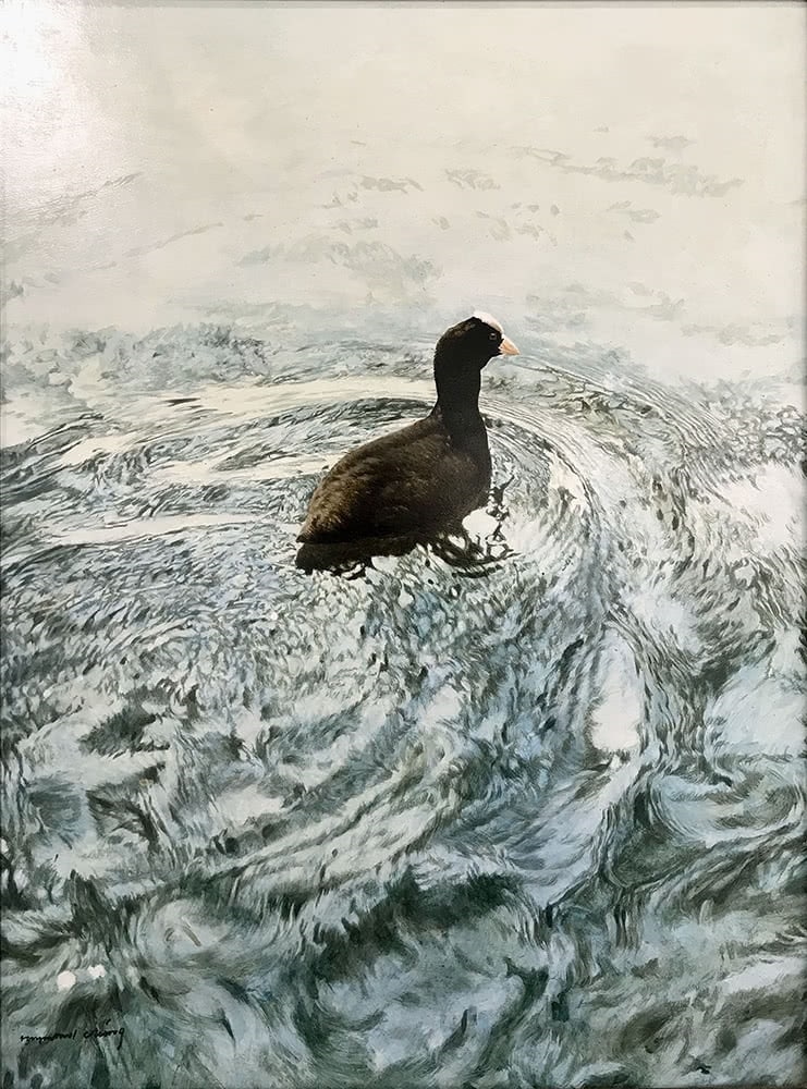 Raymond Harris Ching | Crested Pigeons | MutualArt