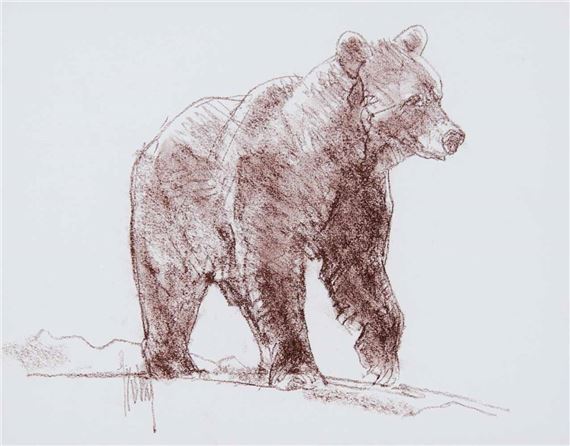 Bob Kuhn | Bear Drawing | MutualArt