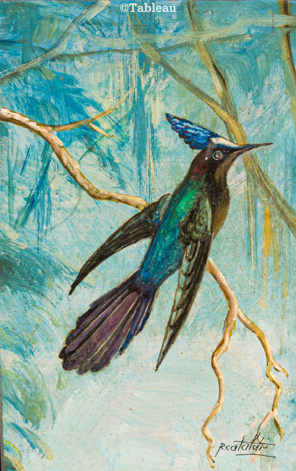 Renato Cataldi | Beija-flor | MutualArt