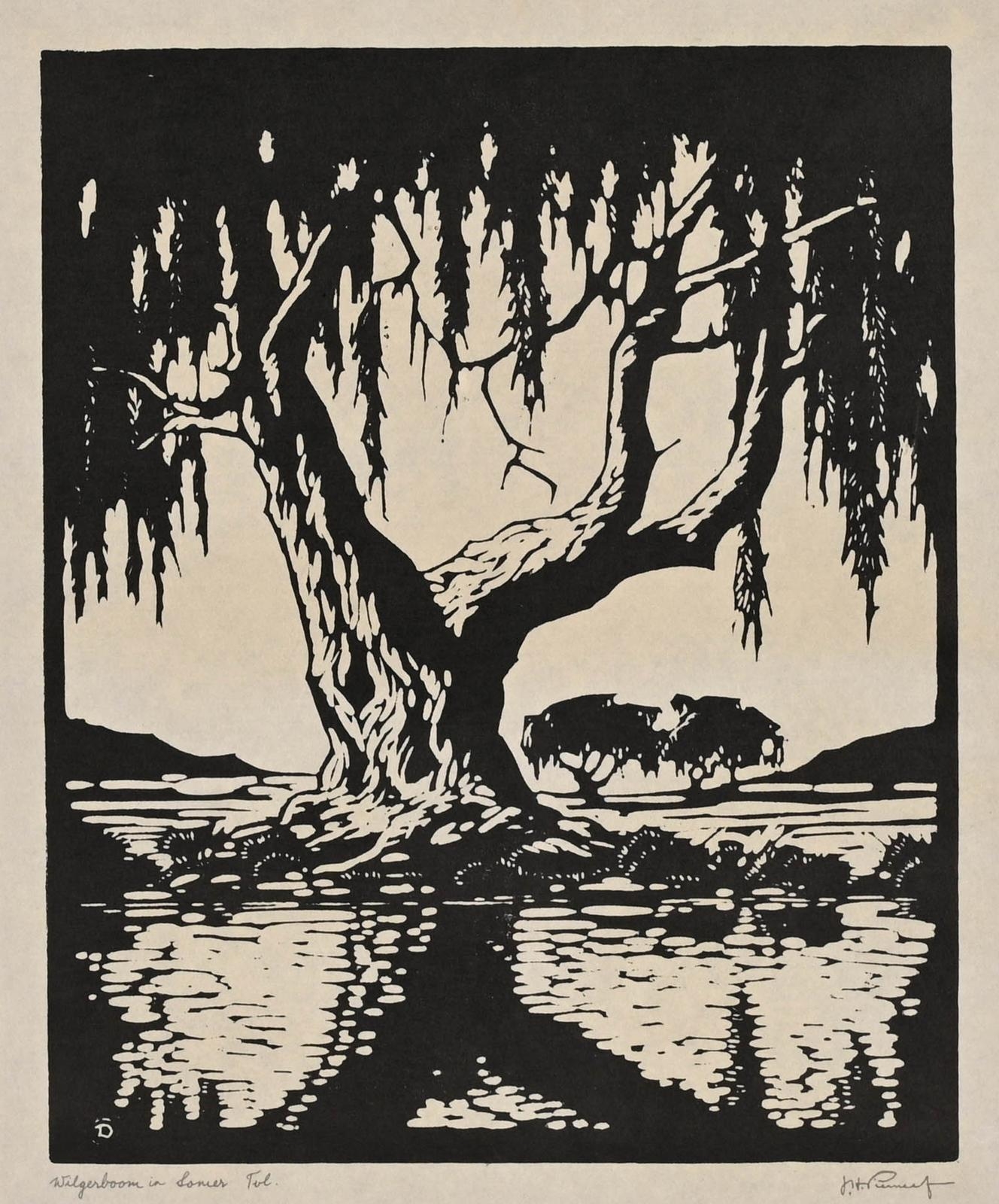 Jacob Hendrik Pierneef | Wilgeboom in Somer, TVL., | MutualArt