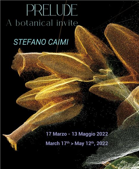 Stefano Caimi | Artist Overview | MutualArt