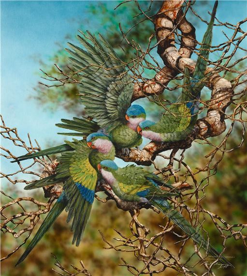 Paul Margocsy | Princess Alexandra Parrots | MutualArt