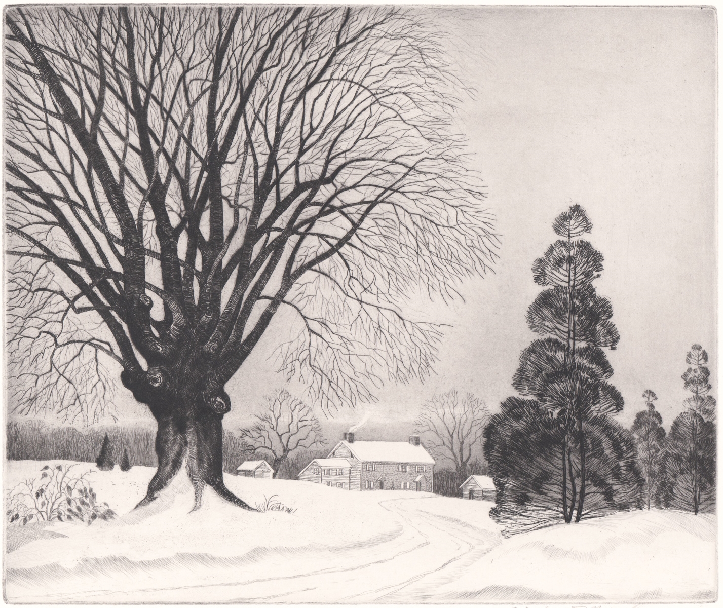 William MacLean | Dawn | MutualArt