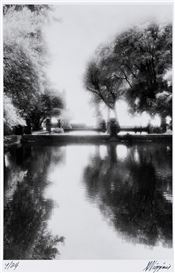 Viggiani Anthony | Pool Of Peace And Tranquility (1995) | Compare ...