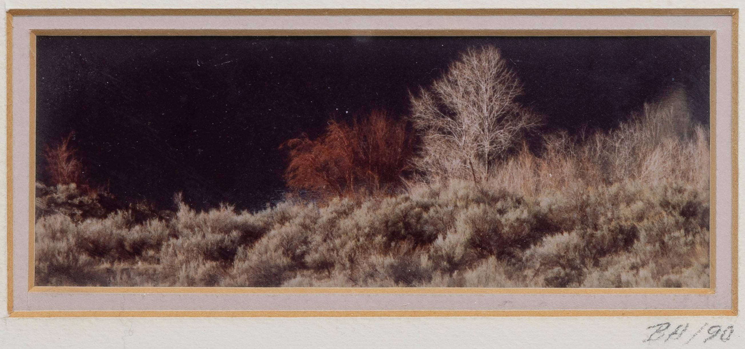 Bob Howard | Landscape (1990) | MutualArt