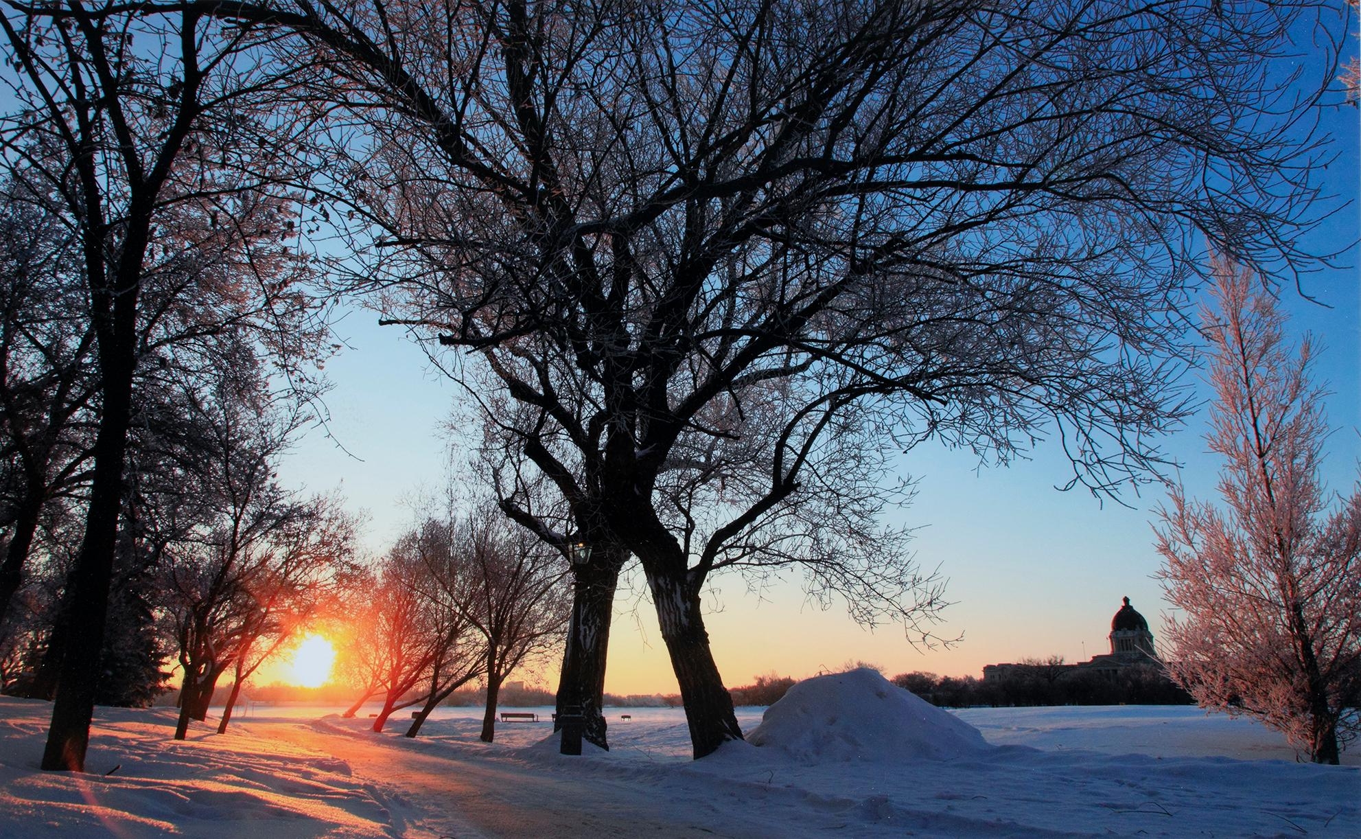 Daniel Paquet | Saskatchewan Legislature | MutualArt
