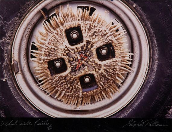 Stephen Patterson | Wheel With Icicles | MutualArt