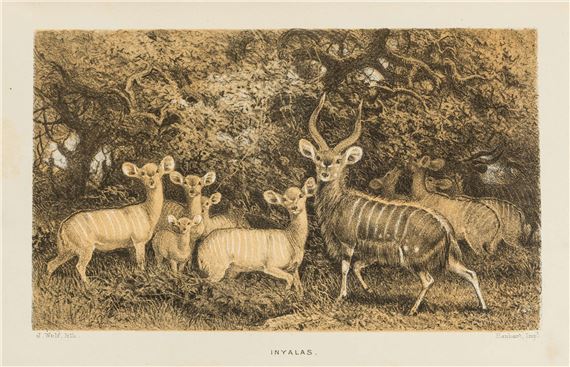 William Charles Baldwin | 1 Artworks | MutualArt