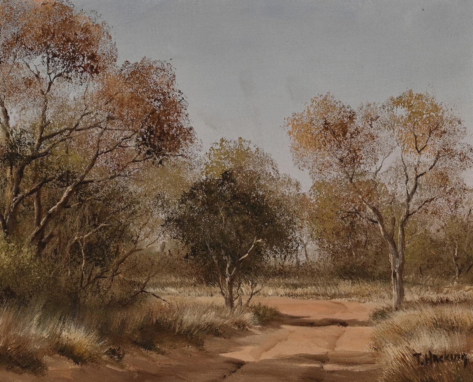 Thomas Hacking | Bushveld Scene | MutualArt