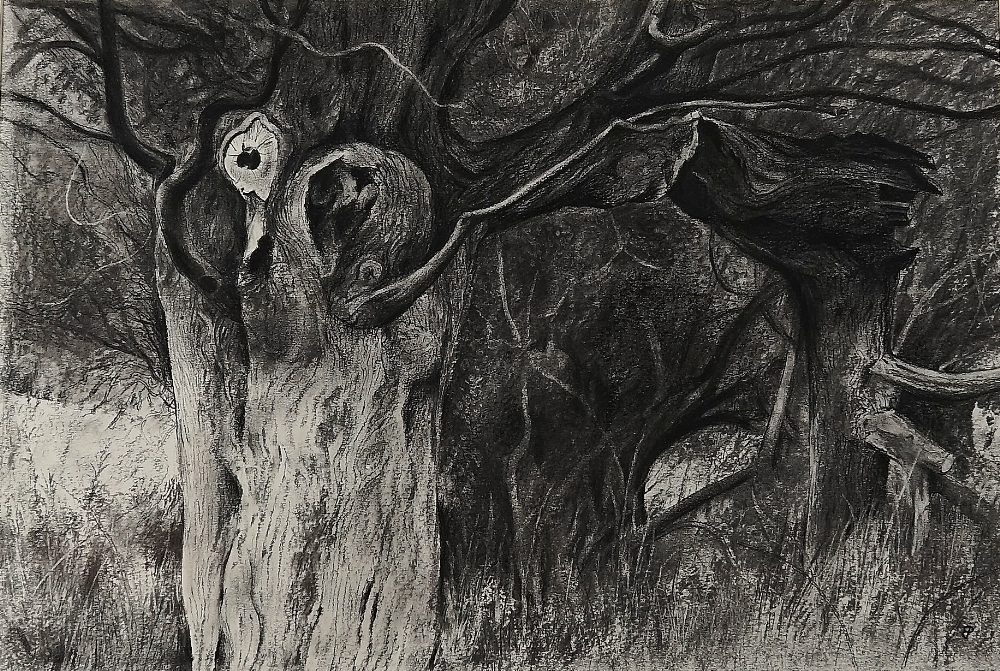 Betty Pennell | Broken oak, Hertfordshire signed with monogram | MutualArt