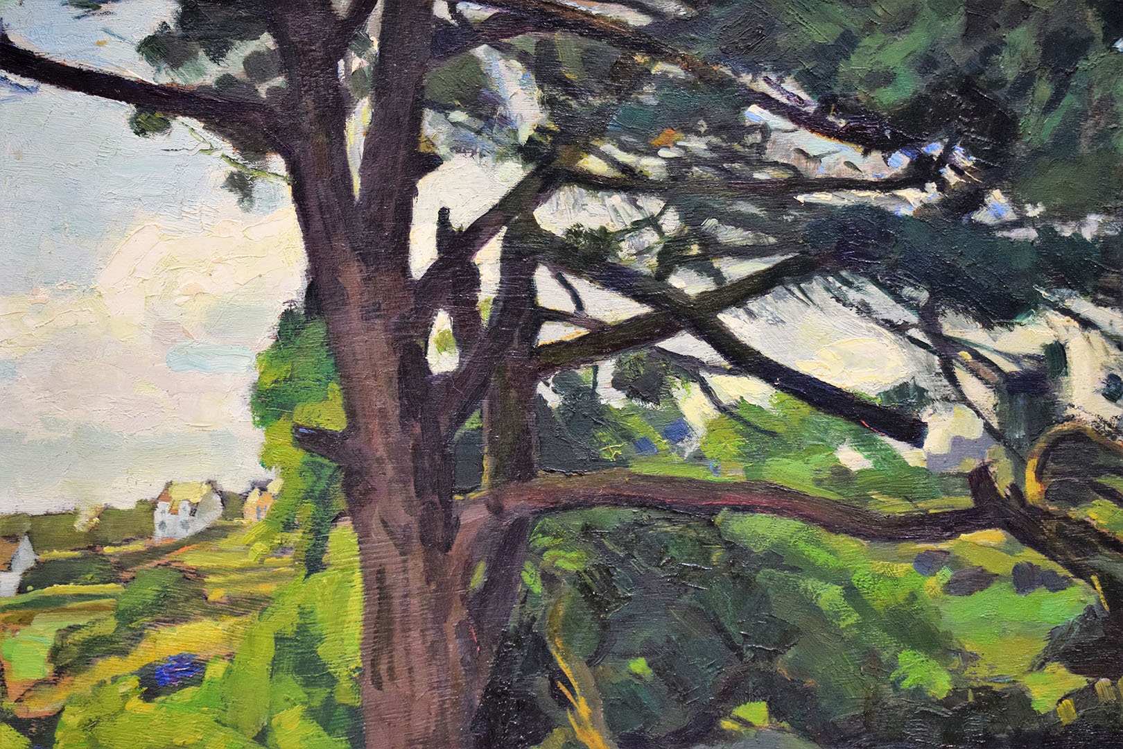 Raymond Tellier | Tree in the forest | MutualArt