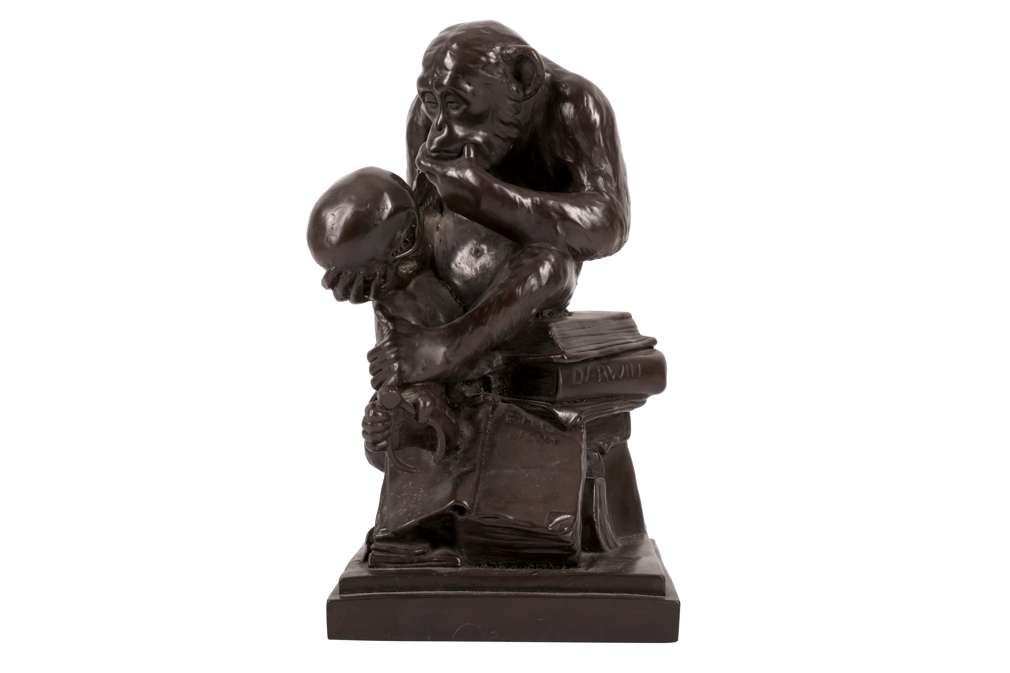 Wolfgang Hugo Rheinhold | AFFE MIT SCHADEL | MutualArt