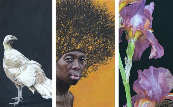 Helena Hugo: Morph | Exhibitions | MutualArt