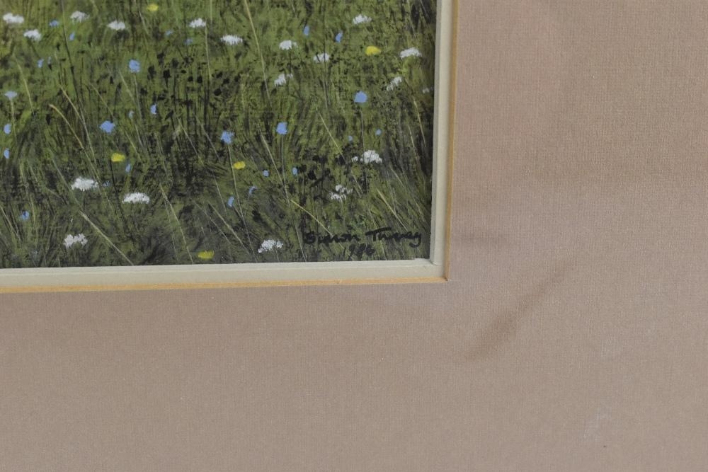 Simon Turvey | study of a kestrel in fligh | MutualArt