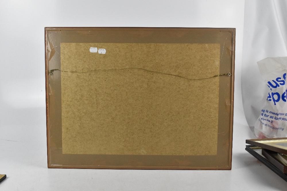 Simon Turvey | study of a kestrel in fligh | MutualArt