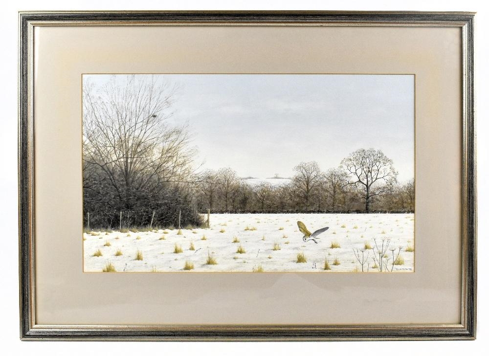 Simon Turvey | a study of a barn owl | MutualArt