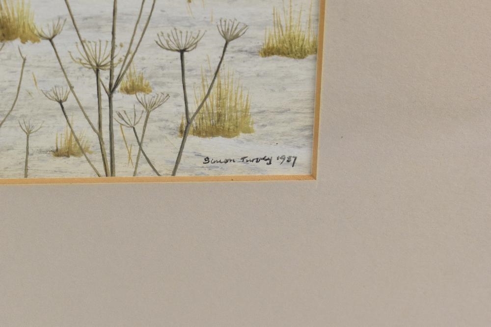 Simon Turvey | a study of a barn owl | MutualArt