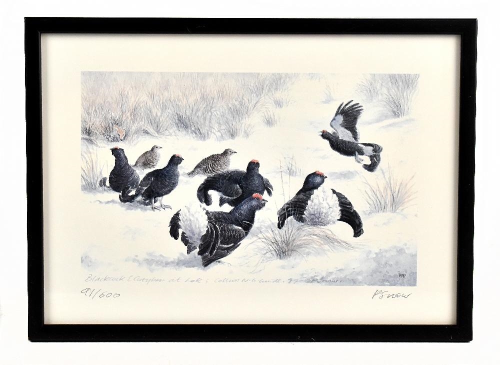Philip Snow | a signed limited edition print of black grouse | MutualArt