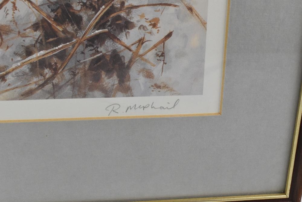 Rodger McPhail | a signed limited edition print of a woodcock | MutualArt