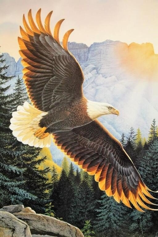 Lee Cable | MORNING MAJESTY | MutualArt