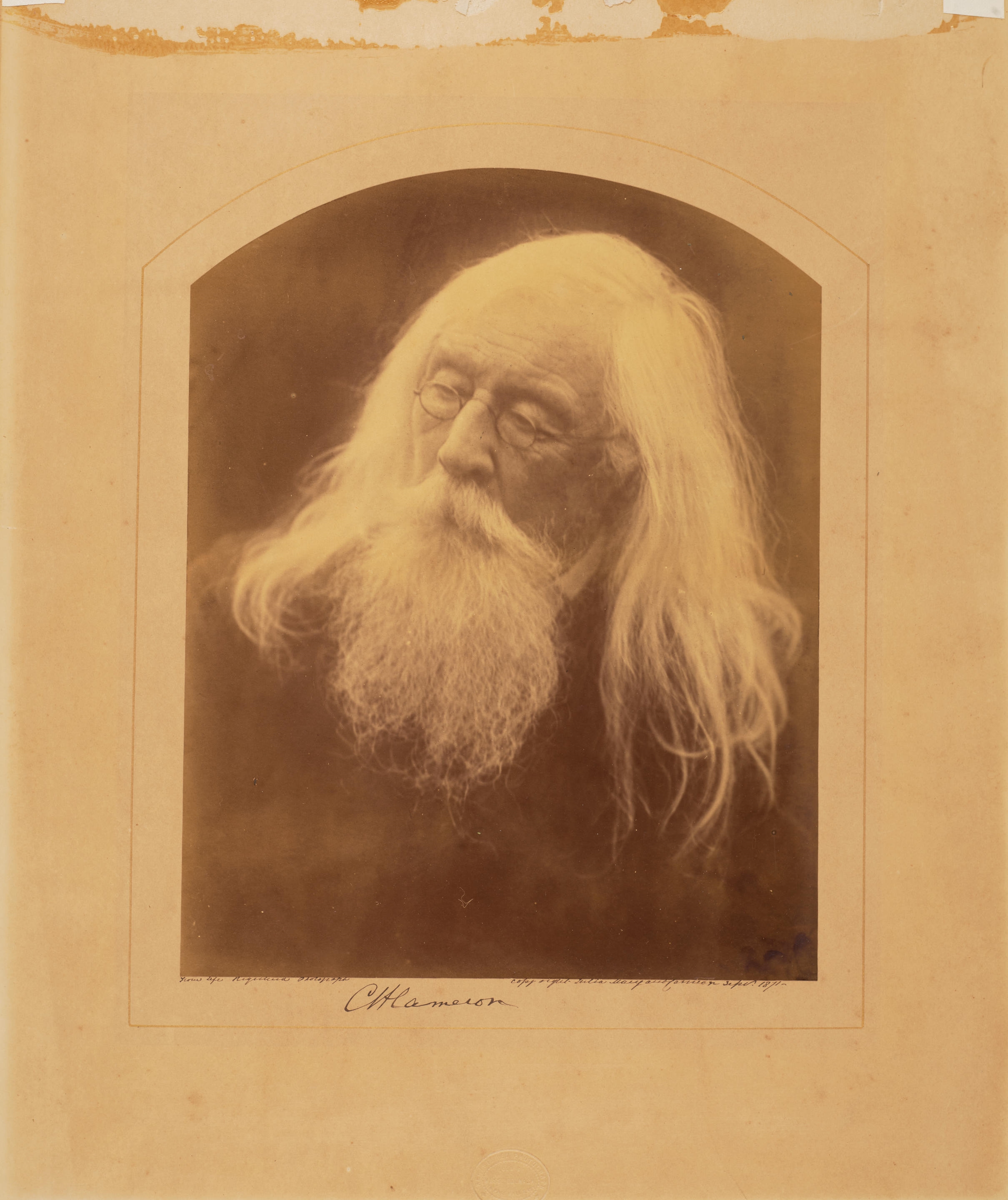 Julia Margaret Cameron | Charles Hay Cameron (1871) | MutualArt