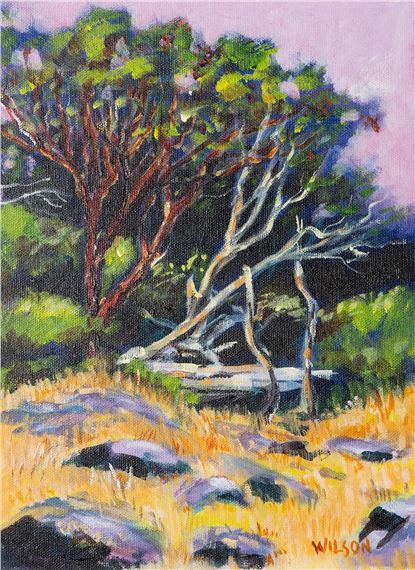 Vic Wilson | All Auction Results