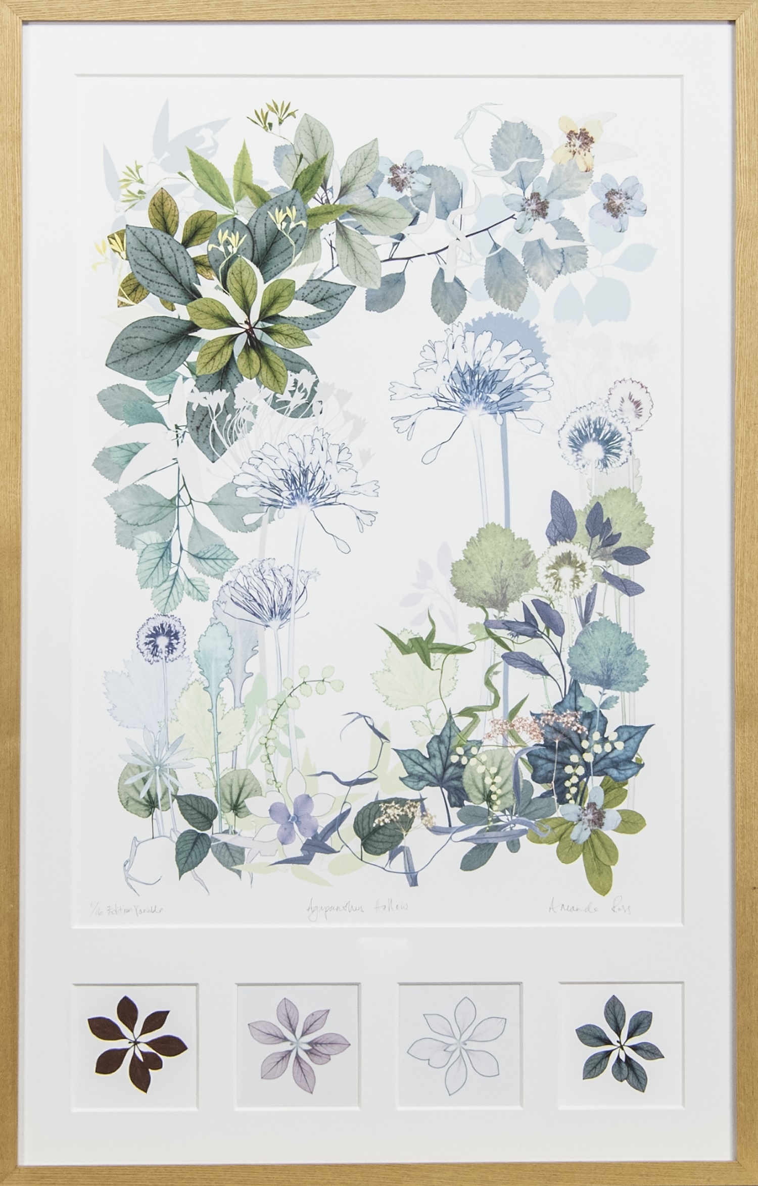 Amanda Ross | AGAPANTHUS HOLLOW | MutualArt