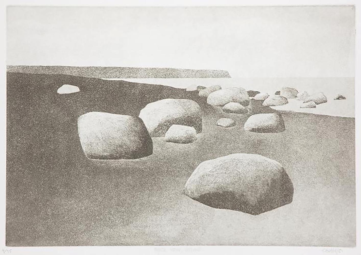 Roger Savage | Baltic Shore, Gotland (1981) | MutualArt