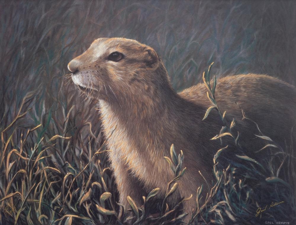 Gail Adams | Untitled - Gopher | MutualArt