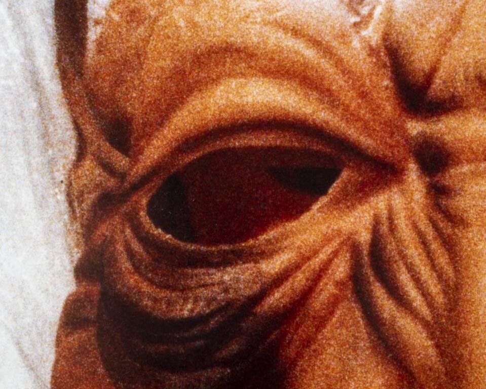 Cindy Sherman | Mask Over Baby Doll | MutualArt