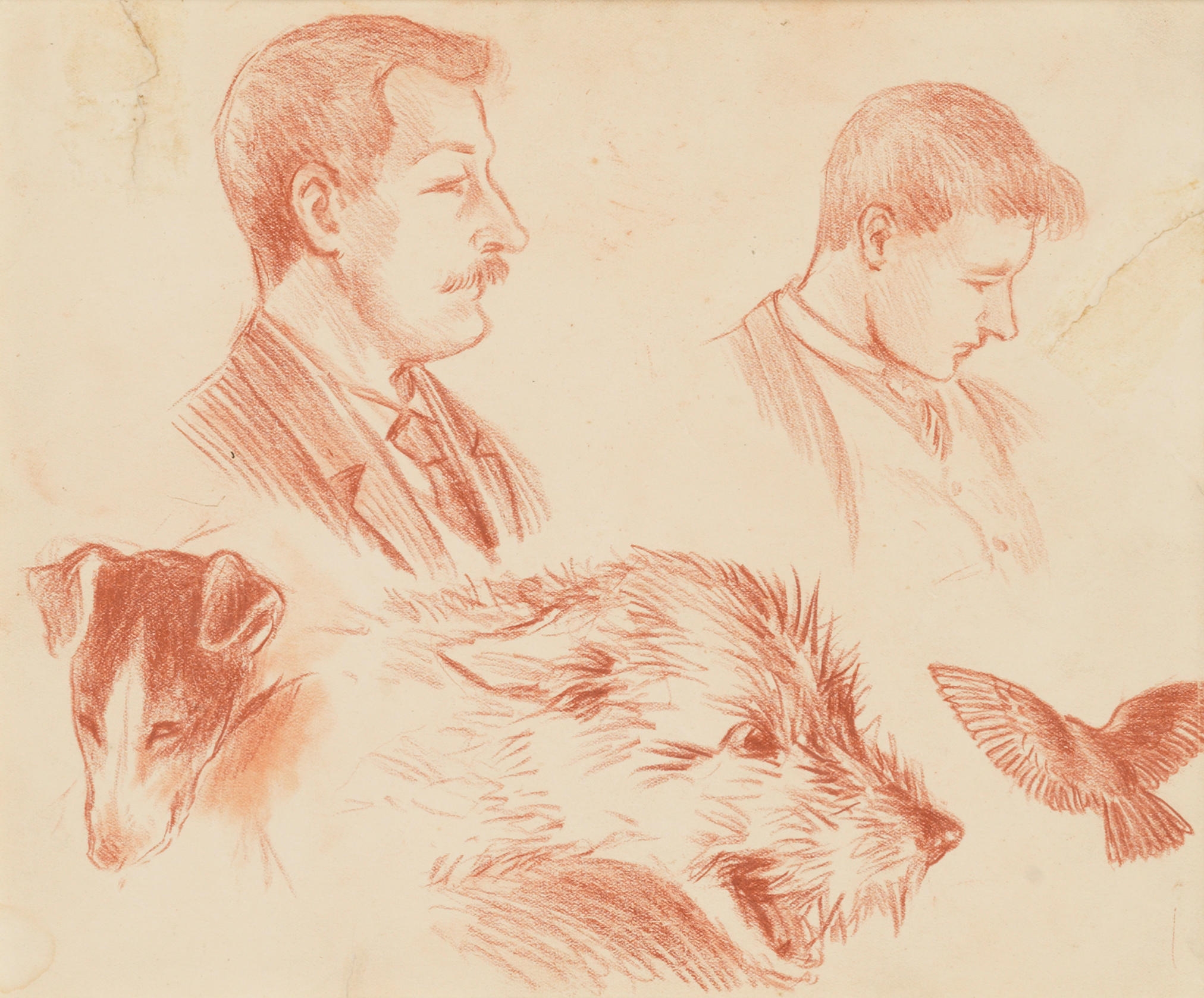 Louis Wain | Cat and Dog | MutualArt