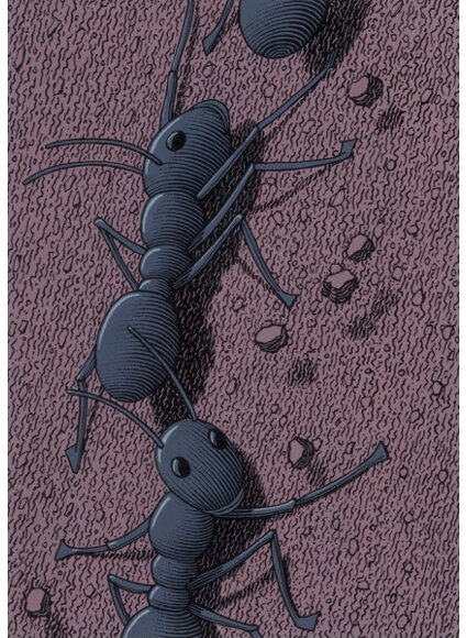 Two Bad Ants