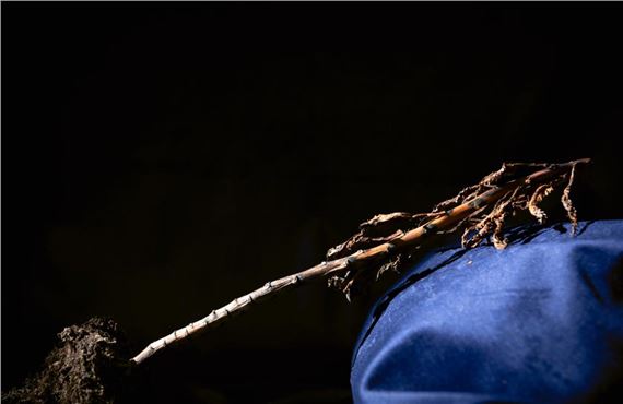 Finja Sander: Shot#Four | Exhibitions | MutualArt