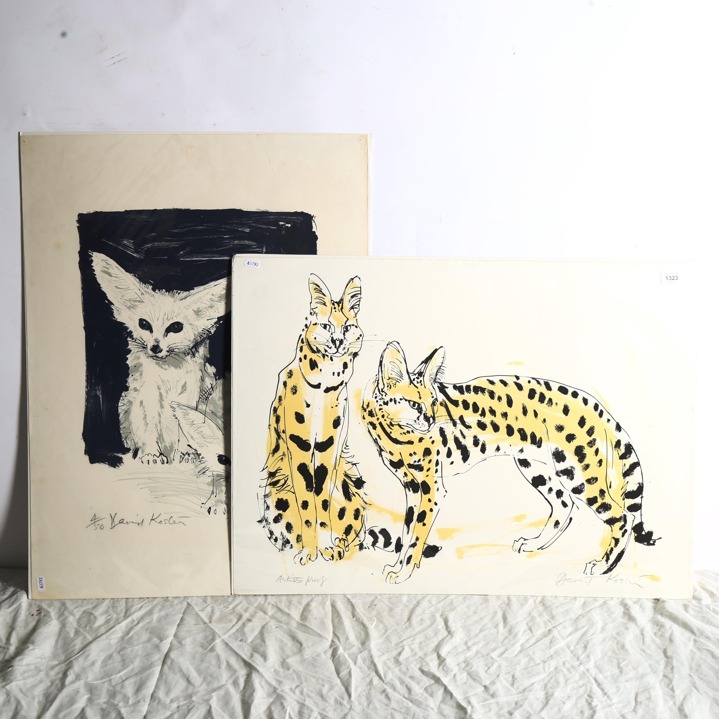 David Koster | Wild cats, and fennel foxes | MutualArt