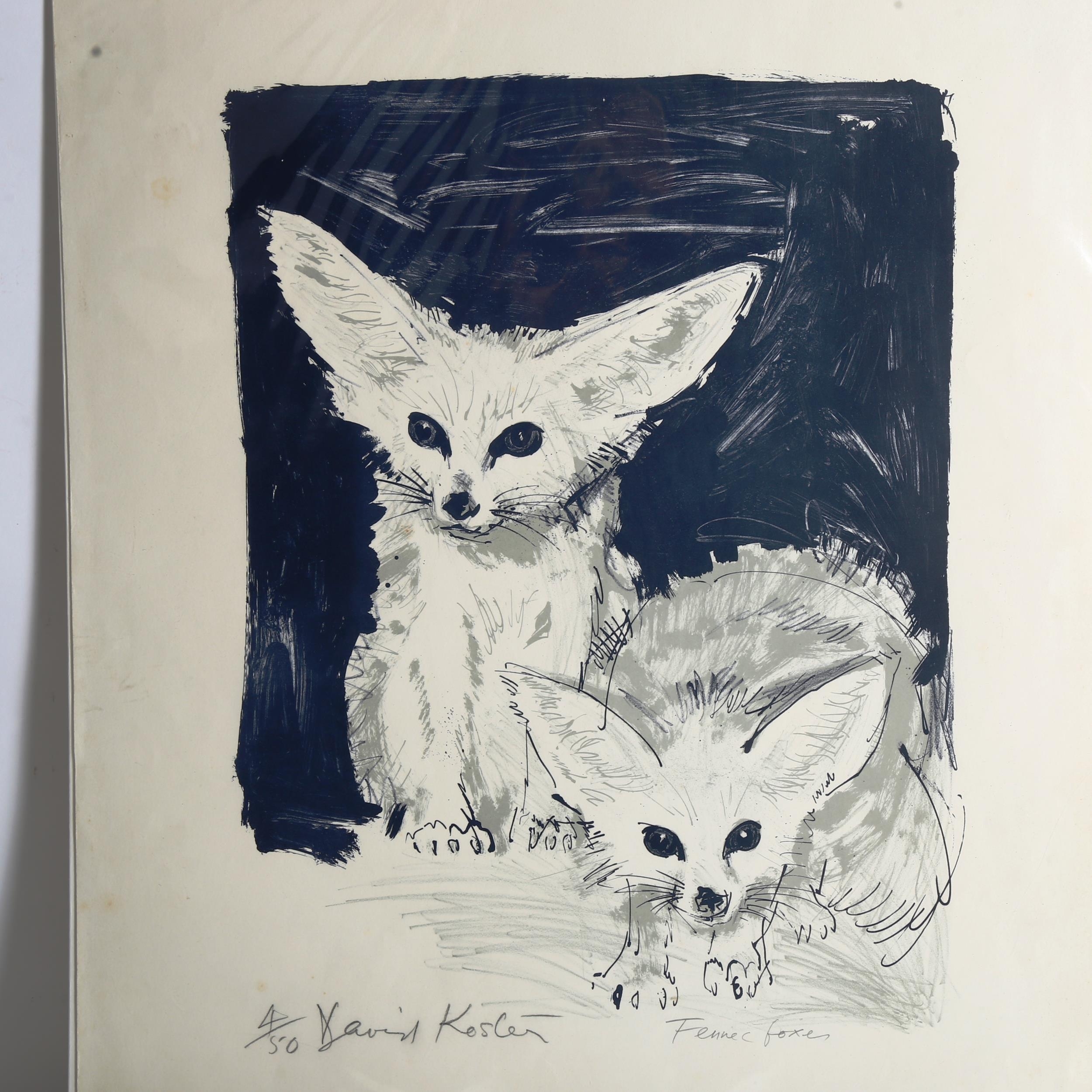 David Koster | Wild cats, and fennel foxes | MutualArt