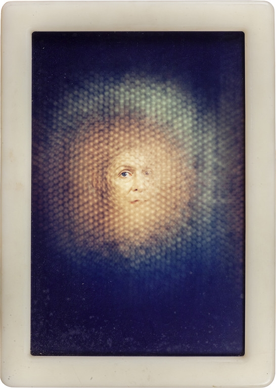 Matthew Barney | Cremaster 2: The Royal Cell of Baby Fay (1998) | MutualArt