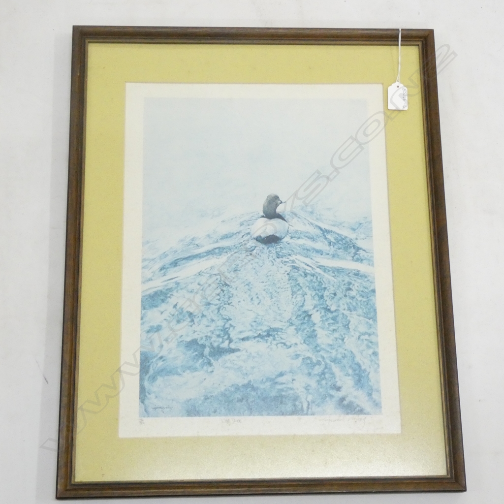 Raymond Harris Ching | WILD DUCK | MutualArt