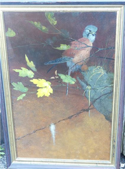 Kenneth Norman Lilly | Kestrel (77) | MutualArt