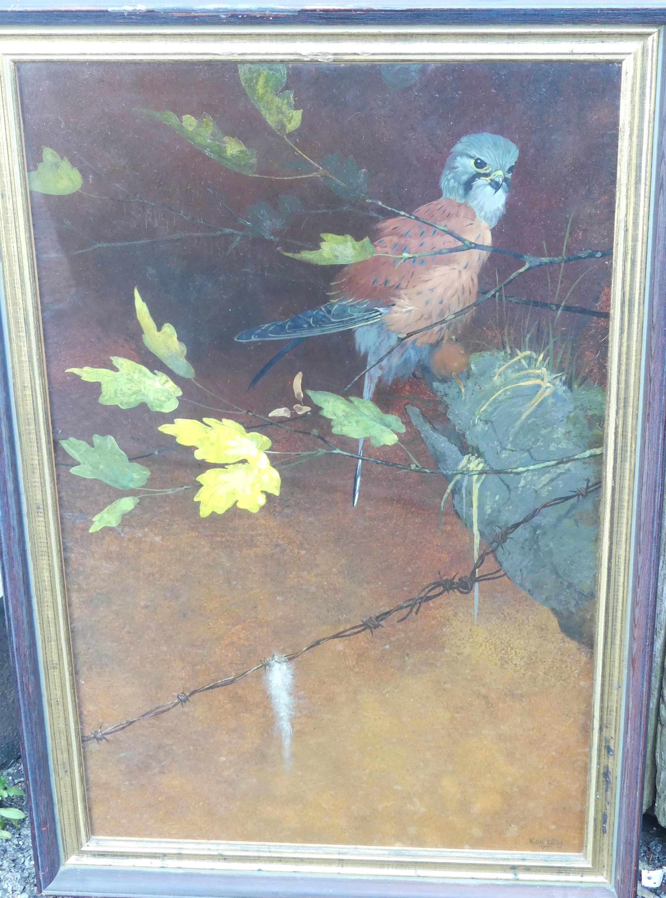 Kenneth Norman Lilly | Kestrel (77) | MutualArt