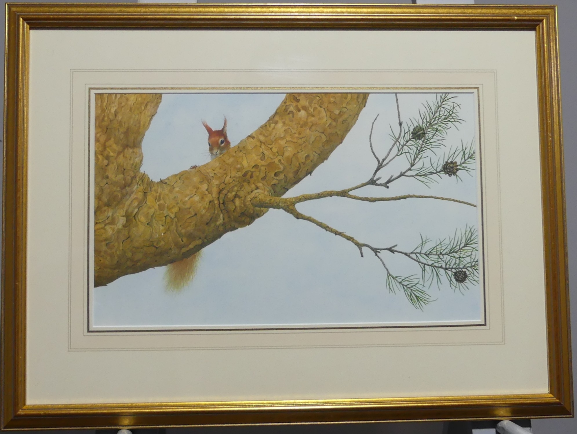 Kenneth Norman Lilly | The Squirrel | MutualArt