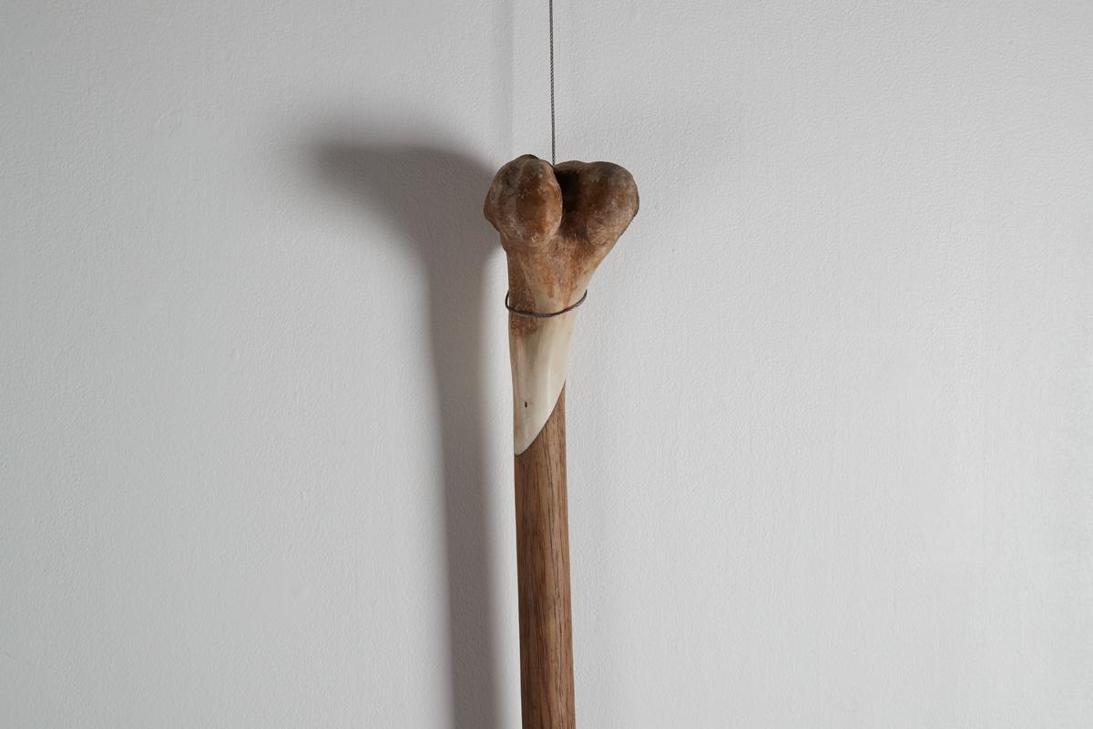 Regan Gentry | A Bone to Pick IV | MutualArt