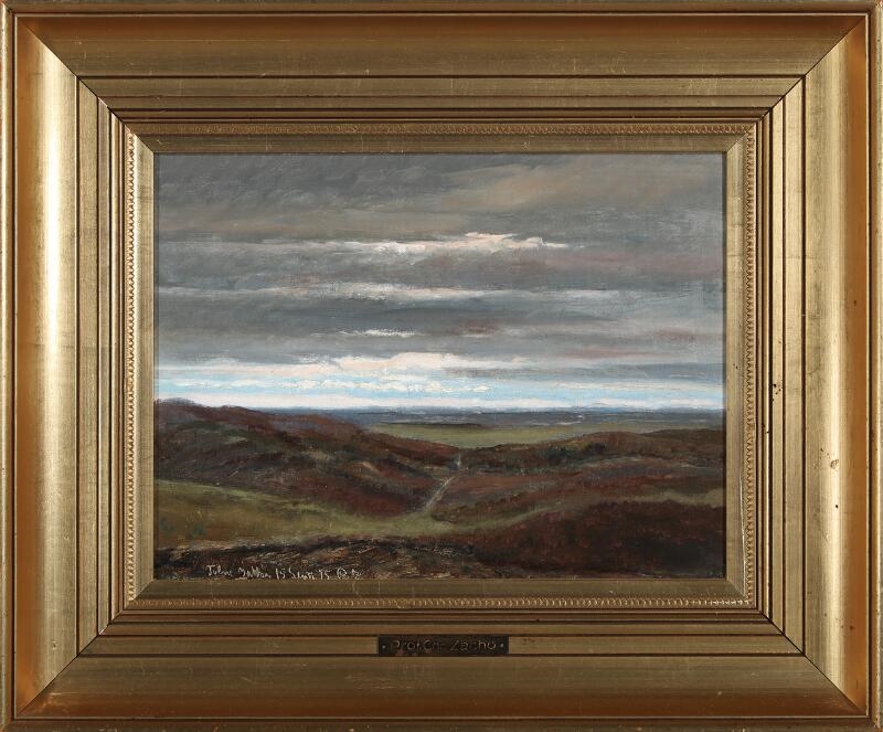 Christian Peder Mørch Zacho | View over Tolne Bakker | MutualArt