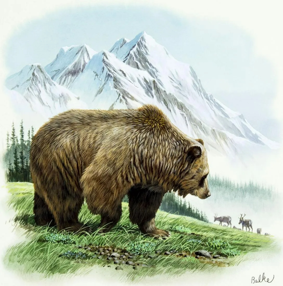 Don Balke | Alaska Brown Bear (1986) | MutualArt